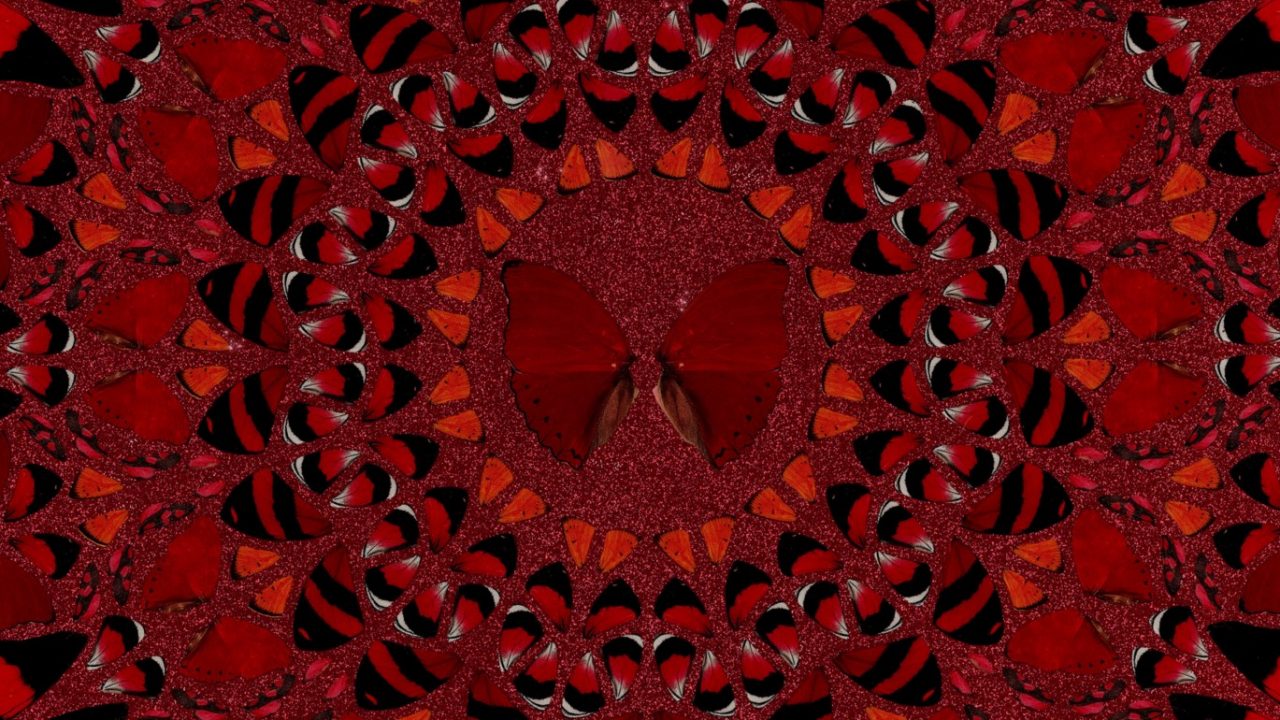 What Are Physical NFTs – A Complete Guide – Guardarian Blog